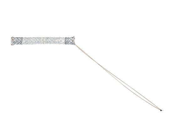 Biliary Stents • Mediterra • View the product range