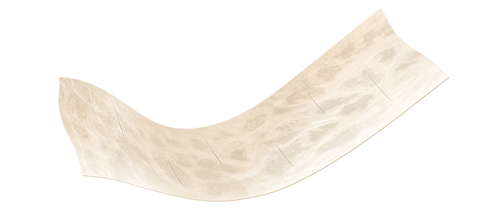 Wound Management • Mediterra • View the product range